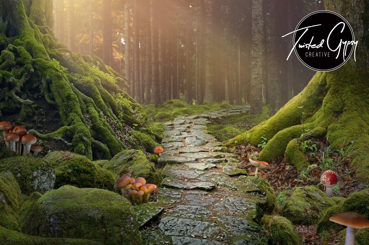FOUR Digital Fantasy Backgrounds a Fairy Tale Collection - Etsy