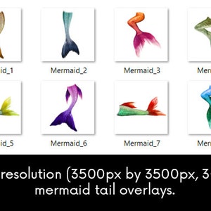 Mermaid Tails - 8 Fantastical Overlays! - Etsy
