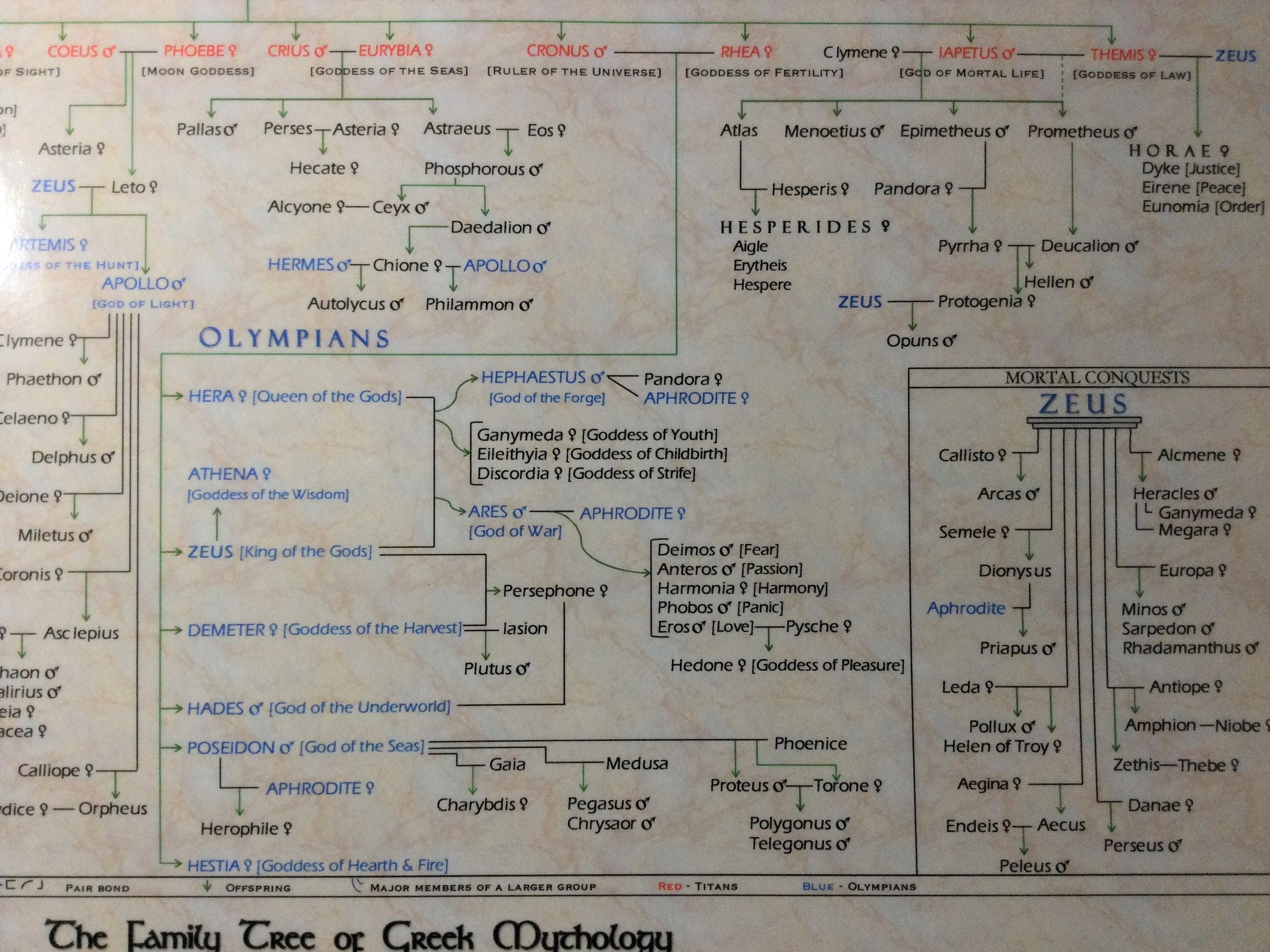 Family Tree of Greek Mythology Pedigree Chart - Etsy