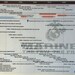 Timeline of the United States Marine Corps Poster - Etsy