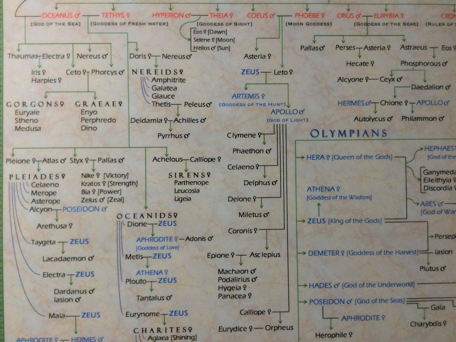 Family Tree of Greek Mythology Pedigree Chart - Etsy