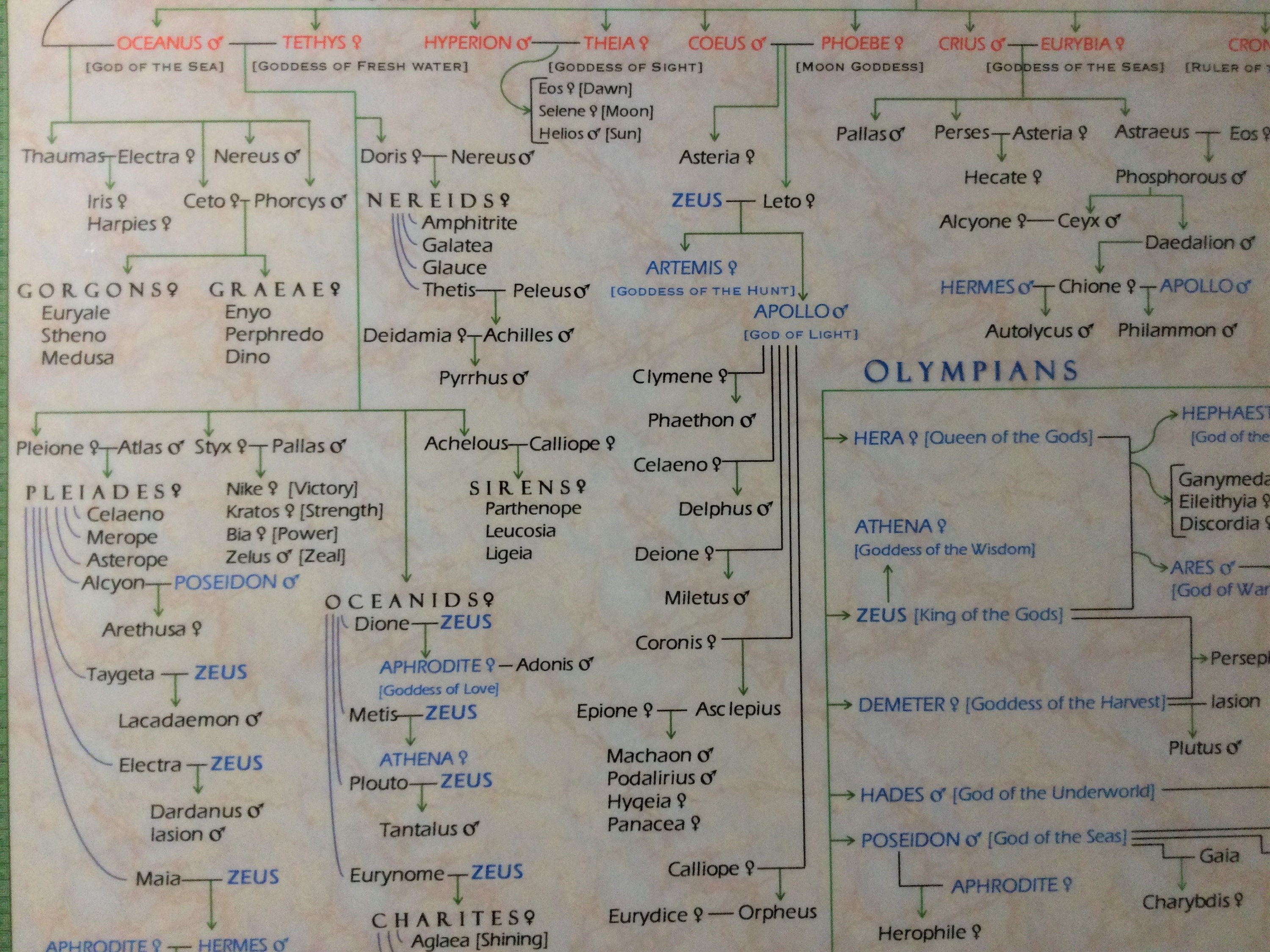 Poseidon Greek Mythology Family Tree