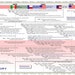 Timeline of Texas History Poster - Etsy