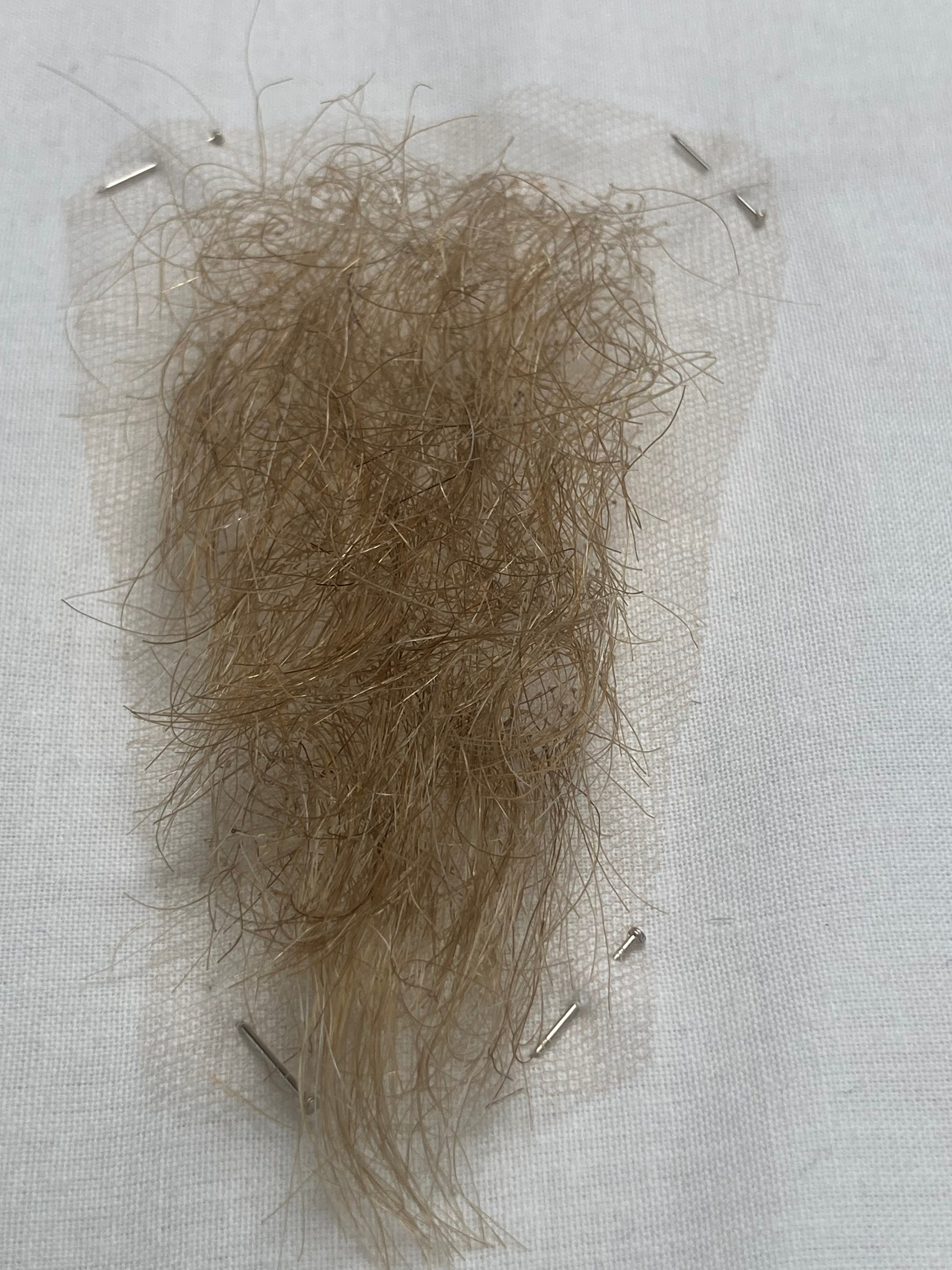 Professional Quality Fine Lace Mousy Brown / Blonde Small Brazilian ...