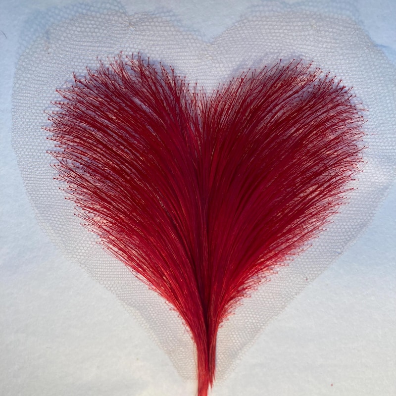 Merkin Pubic Wig - Etsy