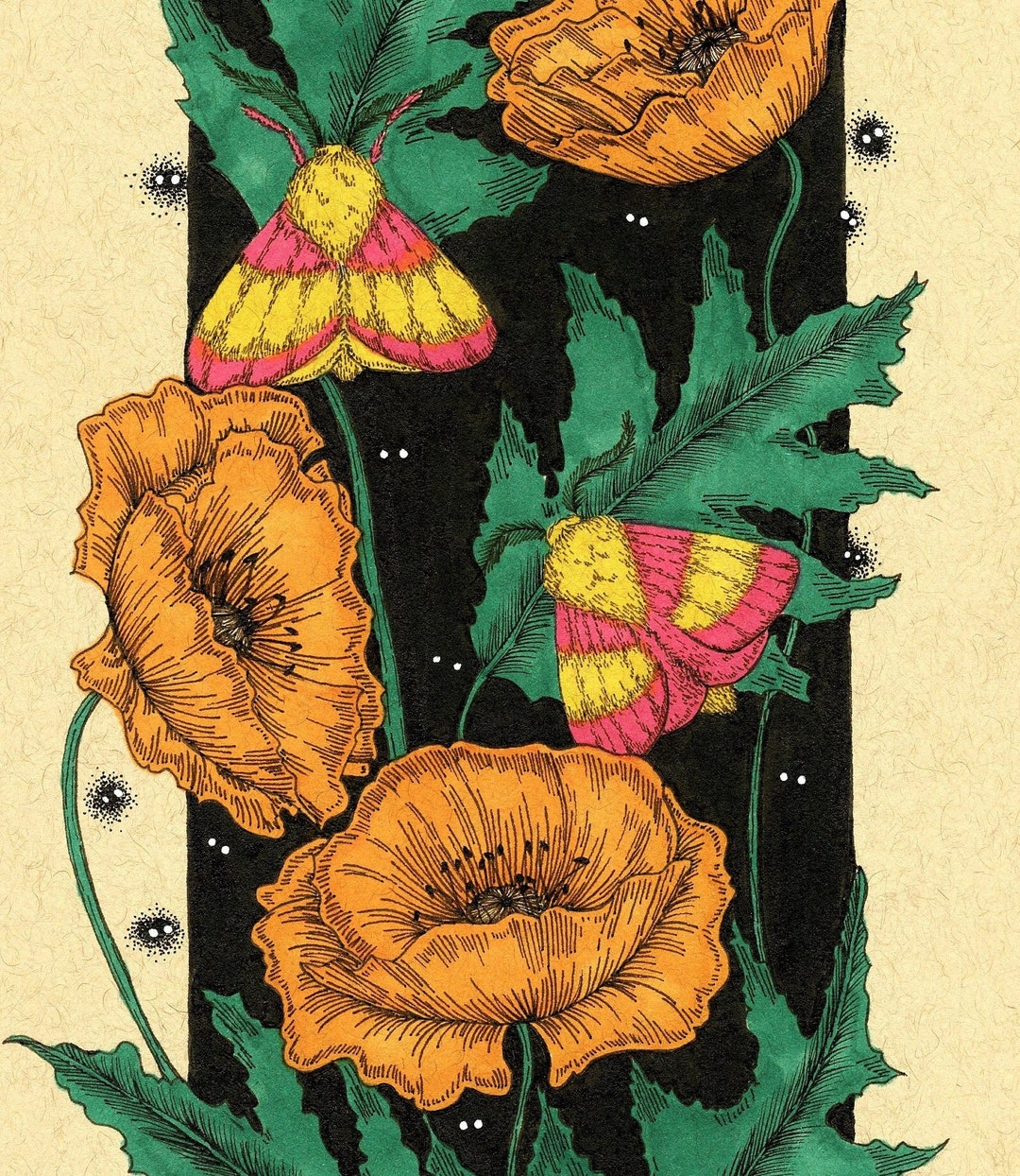 Rosy Maple Moths in the Poppies Fine Art Print | CA Poppies | Rosy ...