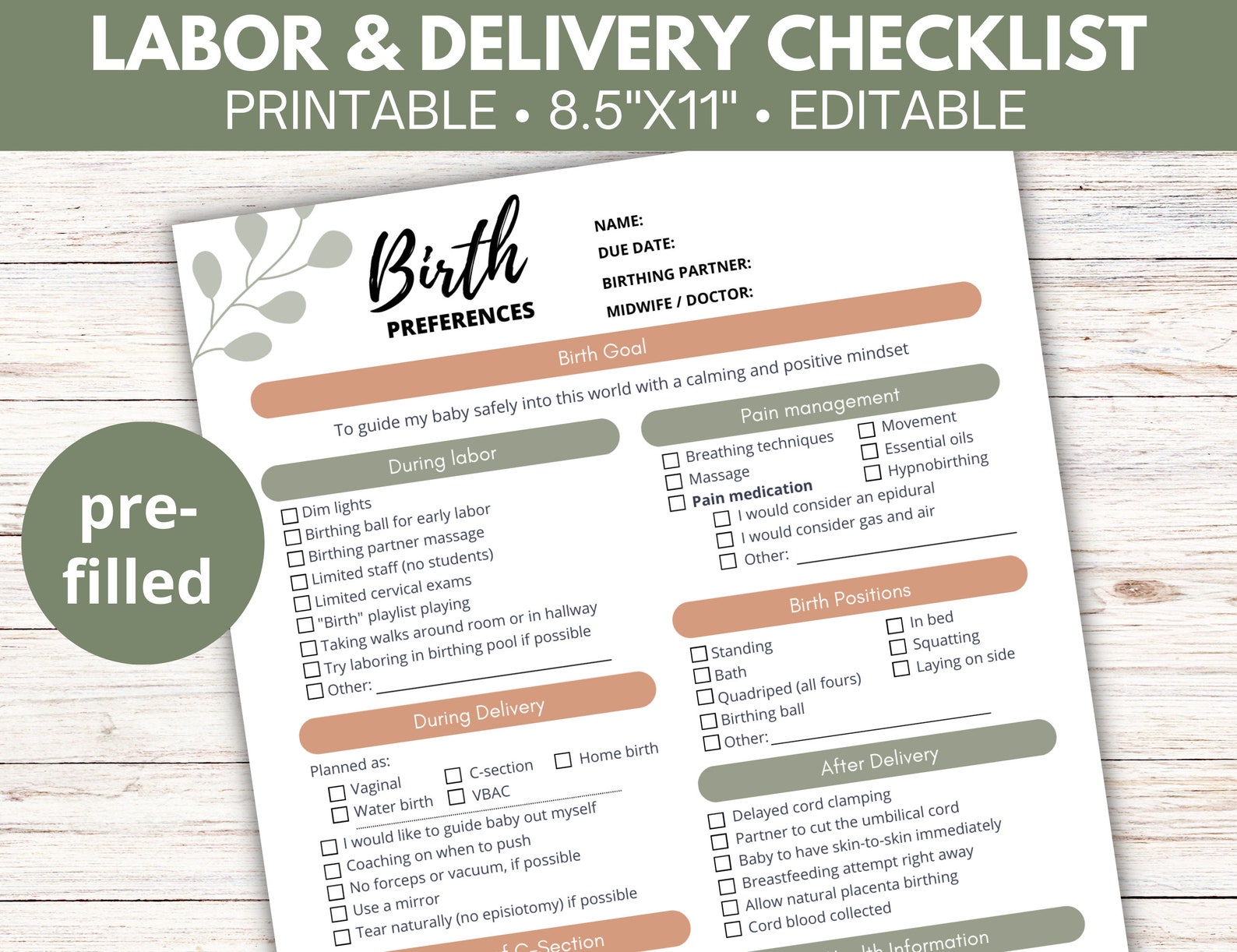 Birth Plan Template, Editable Birth Plan Checklist, Natural Birth Plan ...