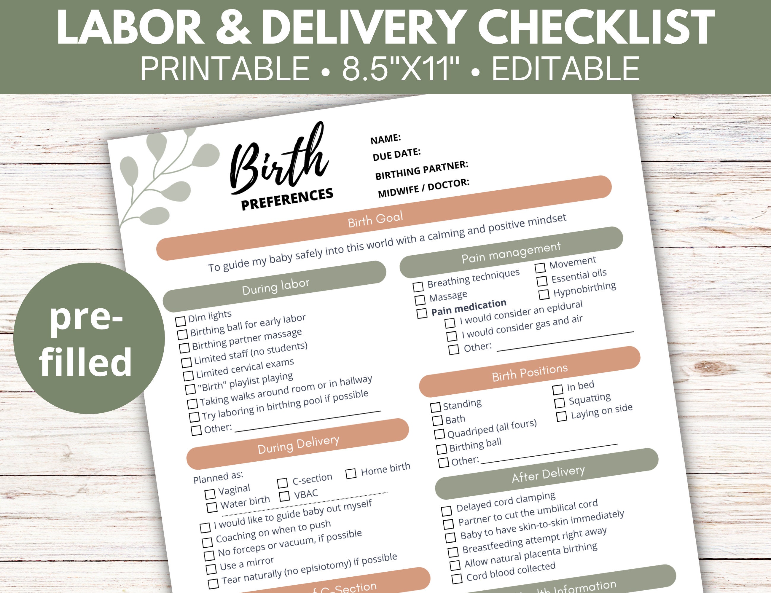 Birth Plan Template, Editable Birth Plan Checklist, Natural Birth Plan ...