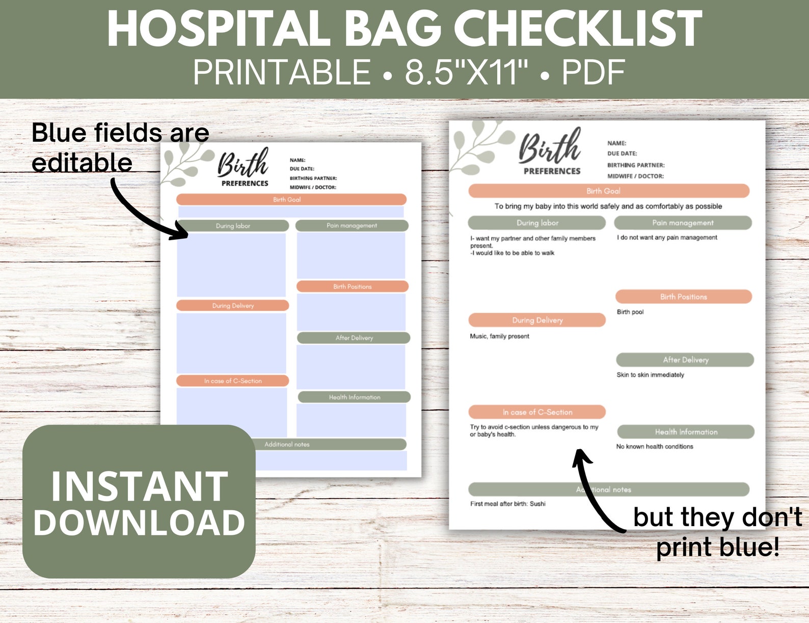 Birth Plan Template, Editable Birth Plan Checklist, Natural Birth Plan ...