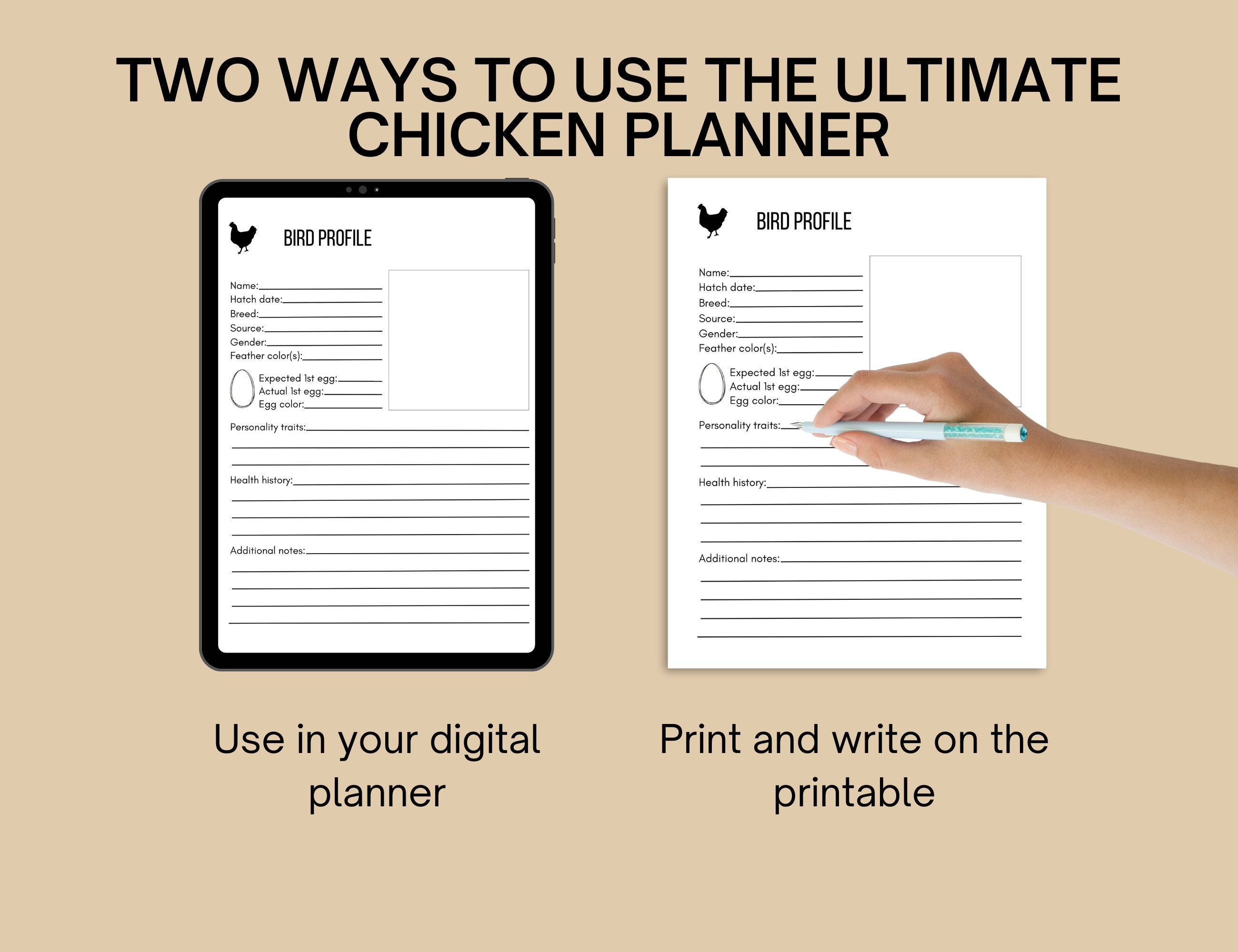 Printable Homestead Log for Raising Chickens, Backyard Chicken Planner ...