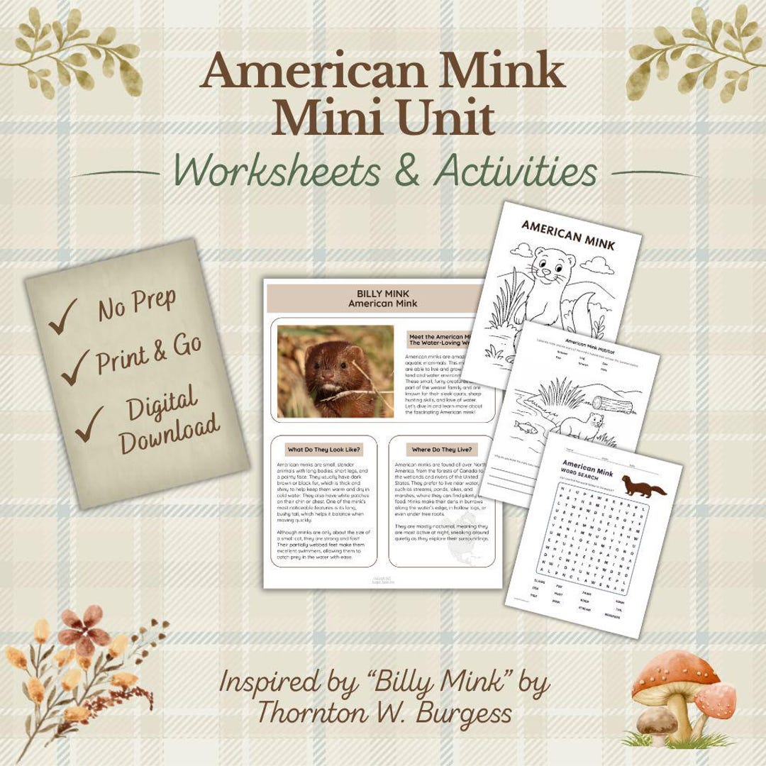 American Mink Activity Pack: Homeschool Printable Worksheets (PDF ...