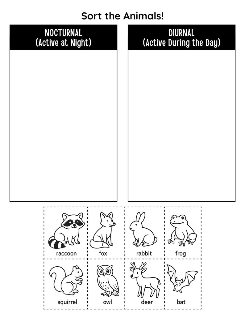Raccoon Activity Pack: Homeschool Printable Worksheets (PDF Download ...