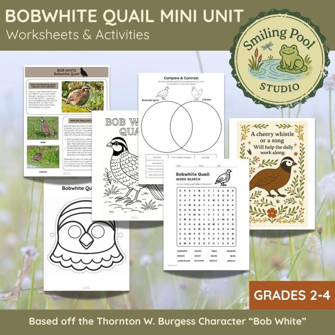 Bobwhite Quail Activity Pack: Homeschool Printable Worksheets (PDF ...