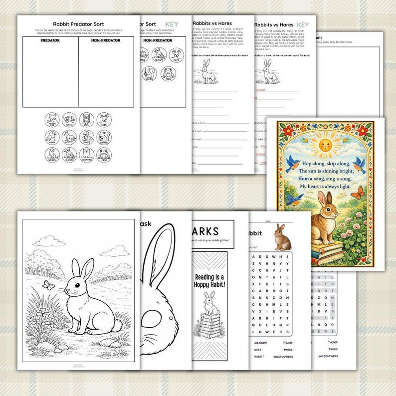 Eastern Cottontail Rabbit Activity Pack Mini Lesson Unit: Homeschool ...