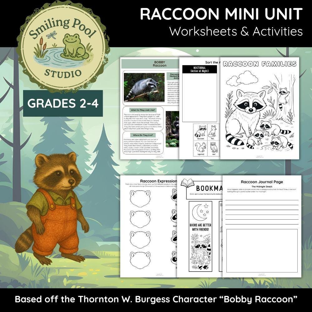 Raccoon Activity Pack: Homeschool Printable Worksheets (PDF Download ...