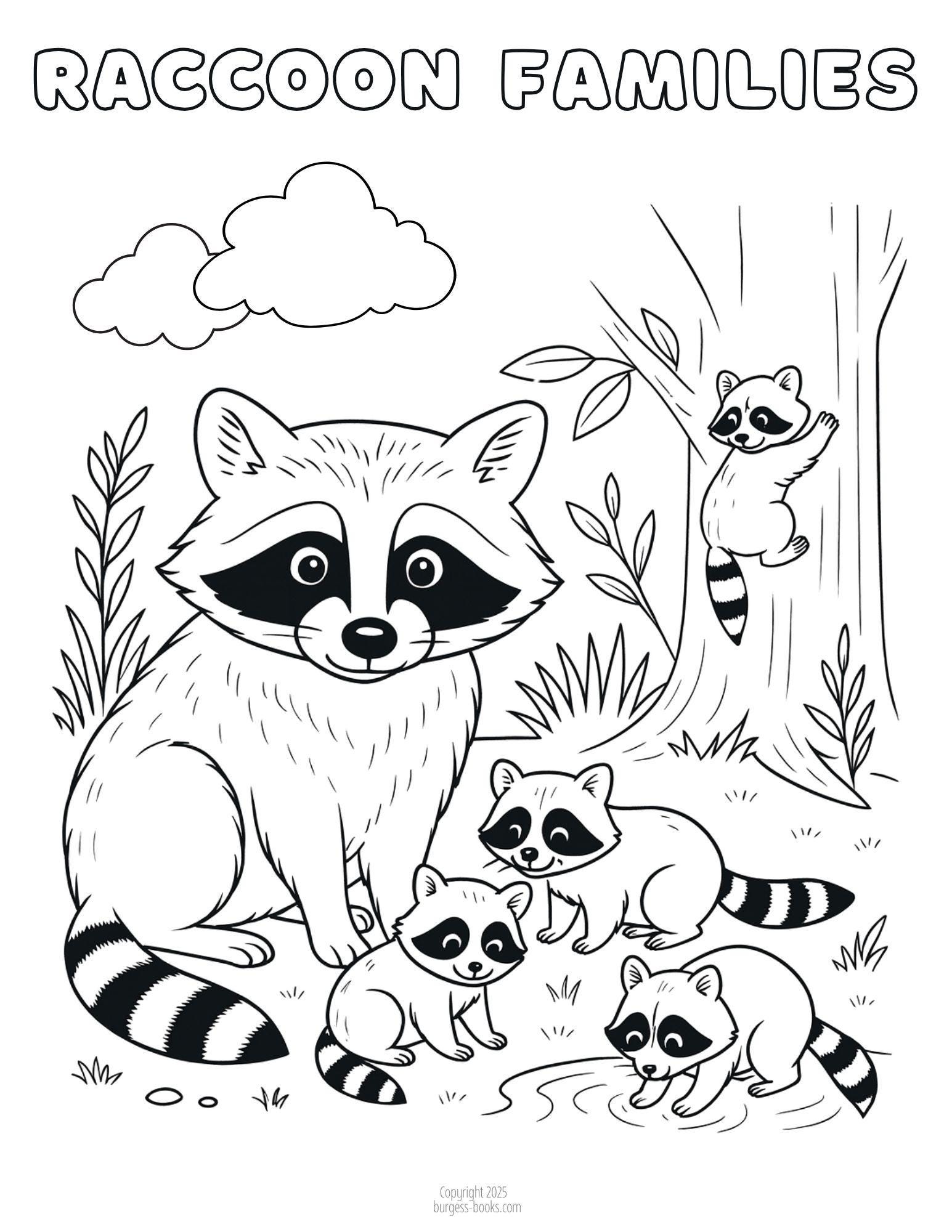 Raccoon Activity Pack: Homeschool Printable Worksheets (PDF Download ...