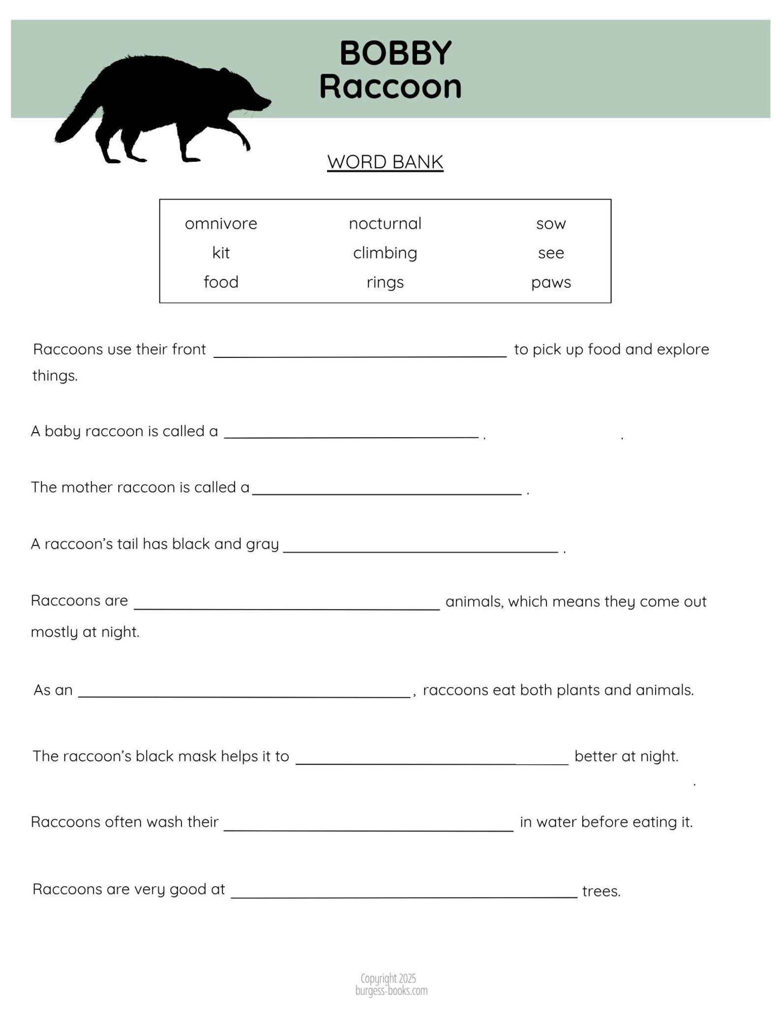 Raccoon Activity Pack: Homeschool Printable Worksheets (PDF Download ...