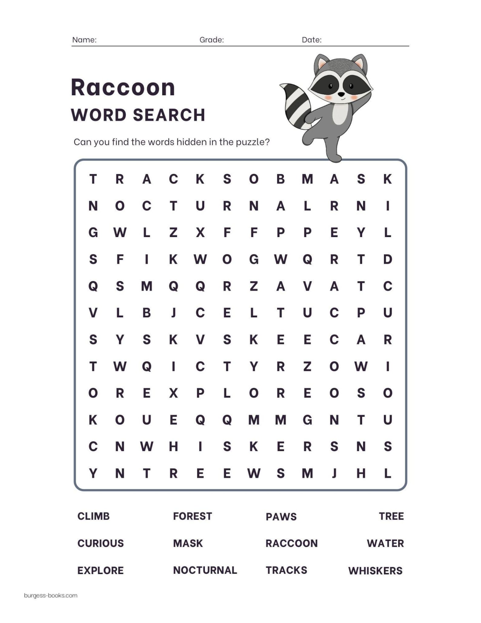 Raccoon Activity Pack: Homeschool Printable Worksheets (PDF Download ...