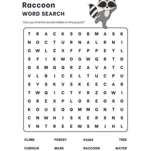 Raccoon Activity Pack: Homeschool Printable Worksheets (PDF Download ...