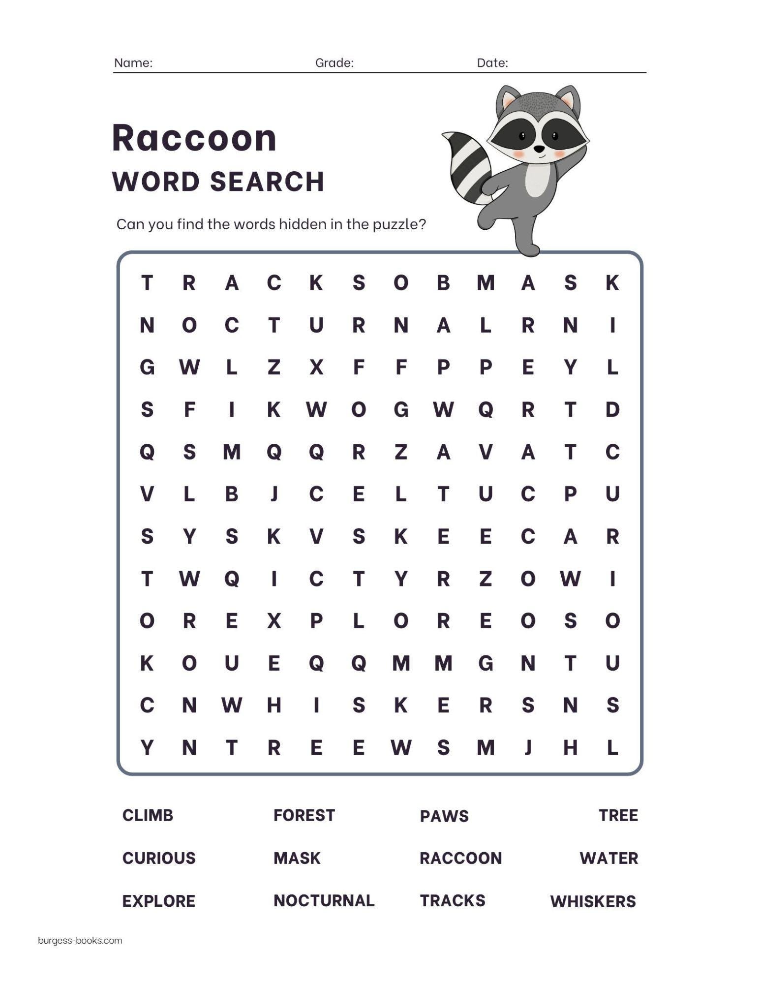 Raccoon Activity Pack: Homeschool Printable Worksheets (PDF Download ...
