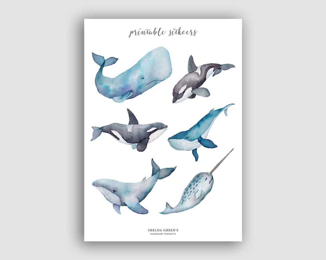 Whales Printable Sticker Pack | Watercolor Whales | Blue Whale, Narwhal ...
