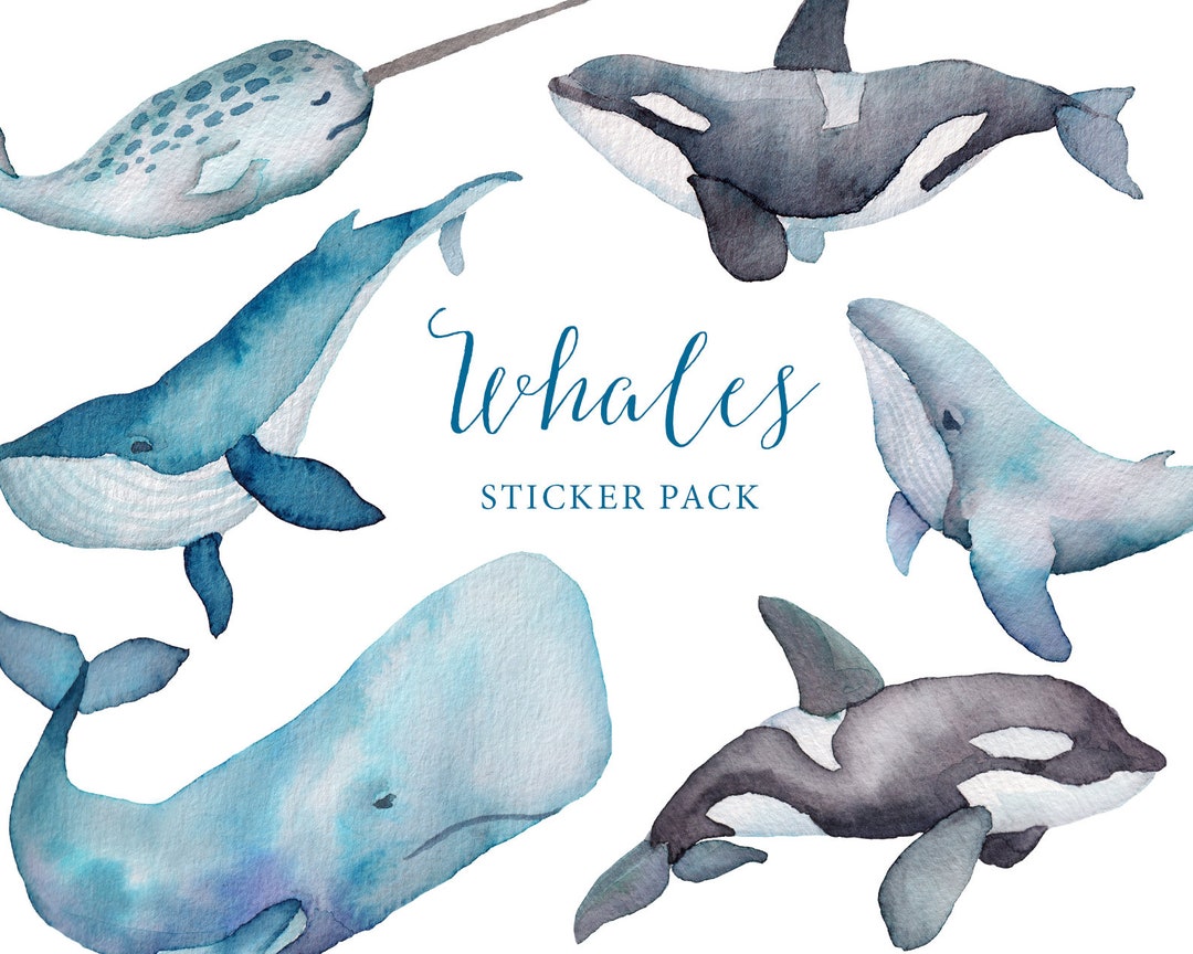 Whales Printable Sticker Pack | Watercolor Whales | Blue Whale, Narwhal ...