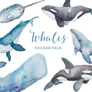 Whales Printable Sticker Pack | Watercolor Whales | Blue Whale, Narwhal ...