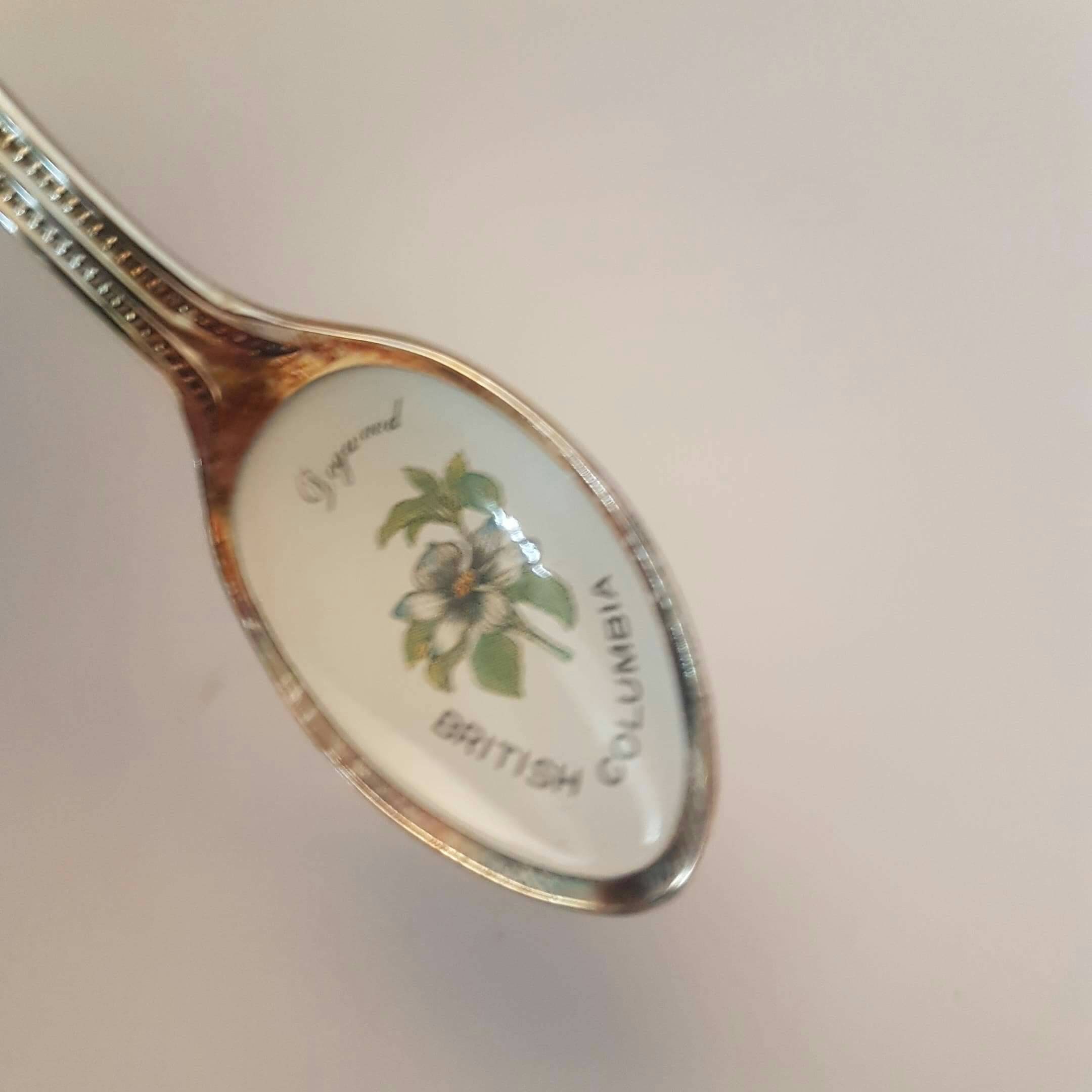 Souvenir Spoon BRITISH COLUMBIA - Etsy