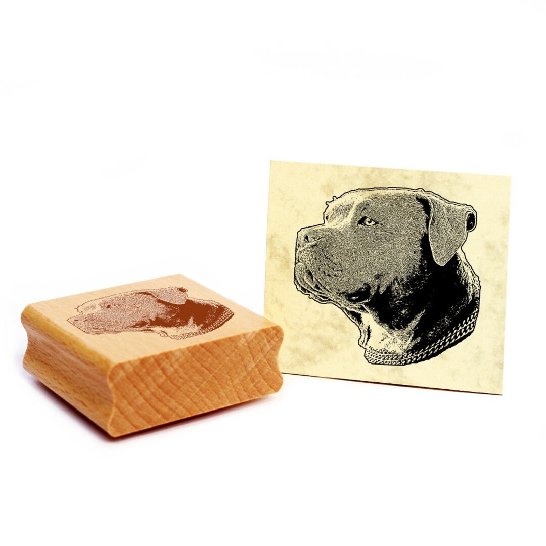Motif Stamp American Bully Stamp Dog Wooden Stamp 48 X 46 Mm - Gift ...