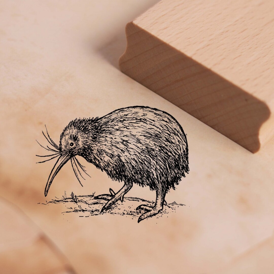 Motif Stamp Cute Kiwi - Bird Stamp Wooden Stamp 48 X 37 Mm - Stamping ...