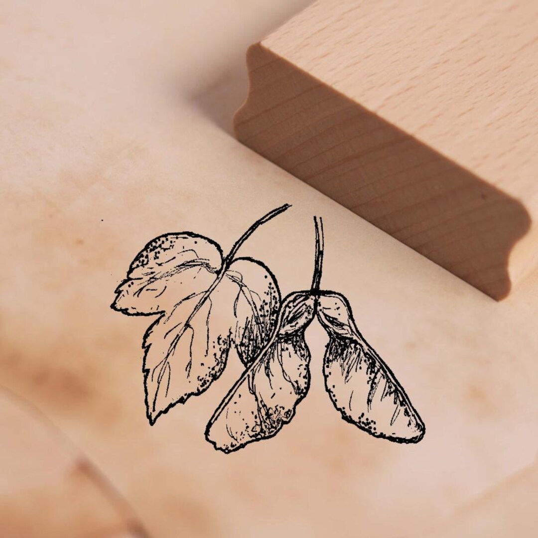 Motif Stamp Maple Fruit - Stamp Wooden Stamp Tree 48 X 38 Mm ...