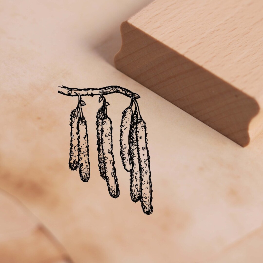 Motif Stamp Hazelnut Blossom - Stamp Hazelnut Hazelnut Bush Wooden ...