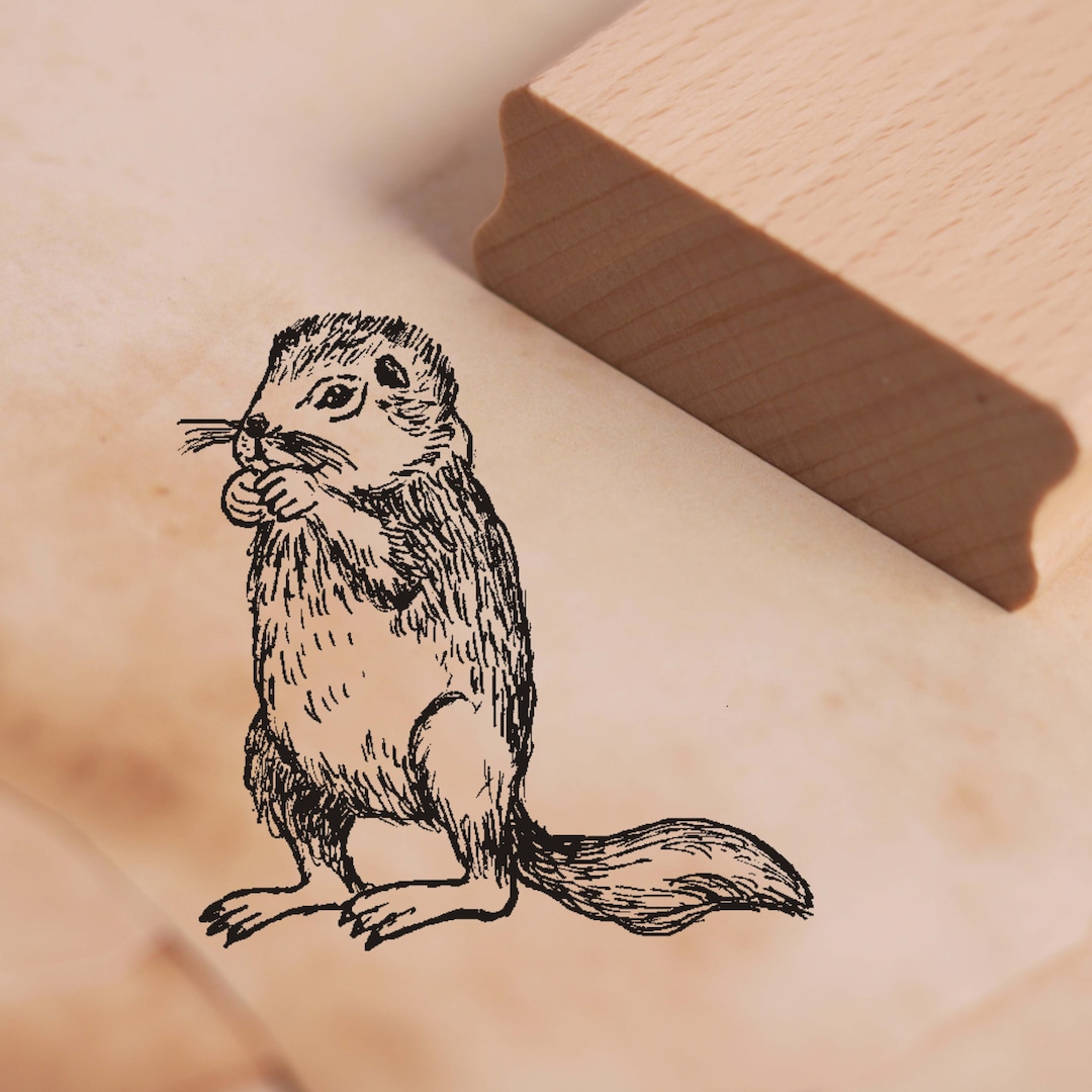 Stempel Biber stehend - Motivstempel ca. 38 x 38 mm - Scrapbooking ...