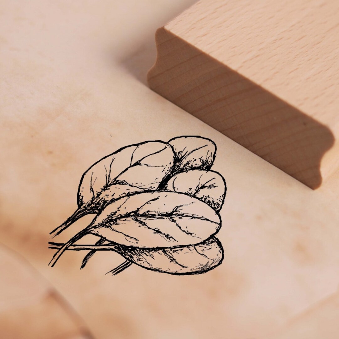 Motif Stamp Leaf Spinach Vegetable Stamp 48 X 28 Mm Wooden Stamp ...