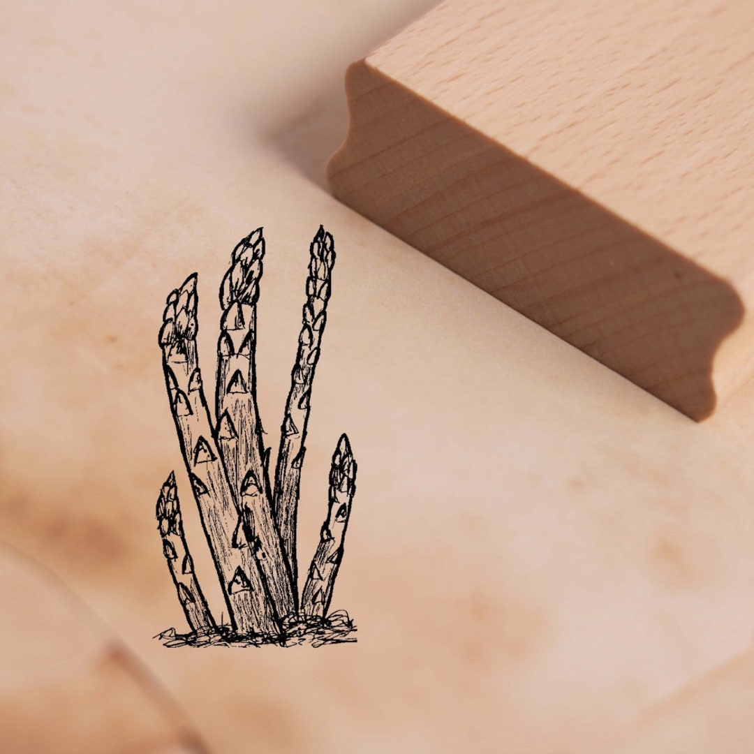 Motif Stamp Asparagus - Vegetable Stamp 28 X 58 Mm - Wooden Stamp ...