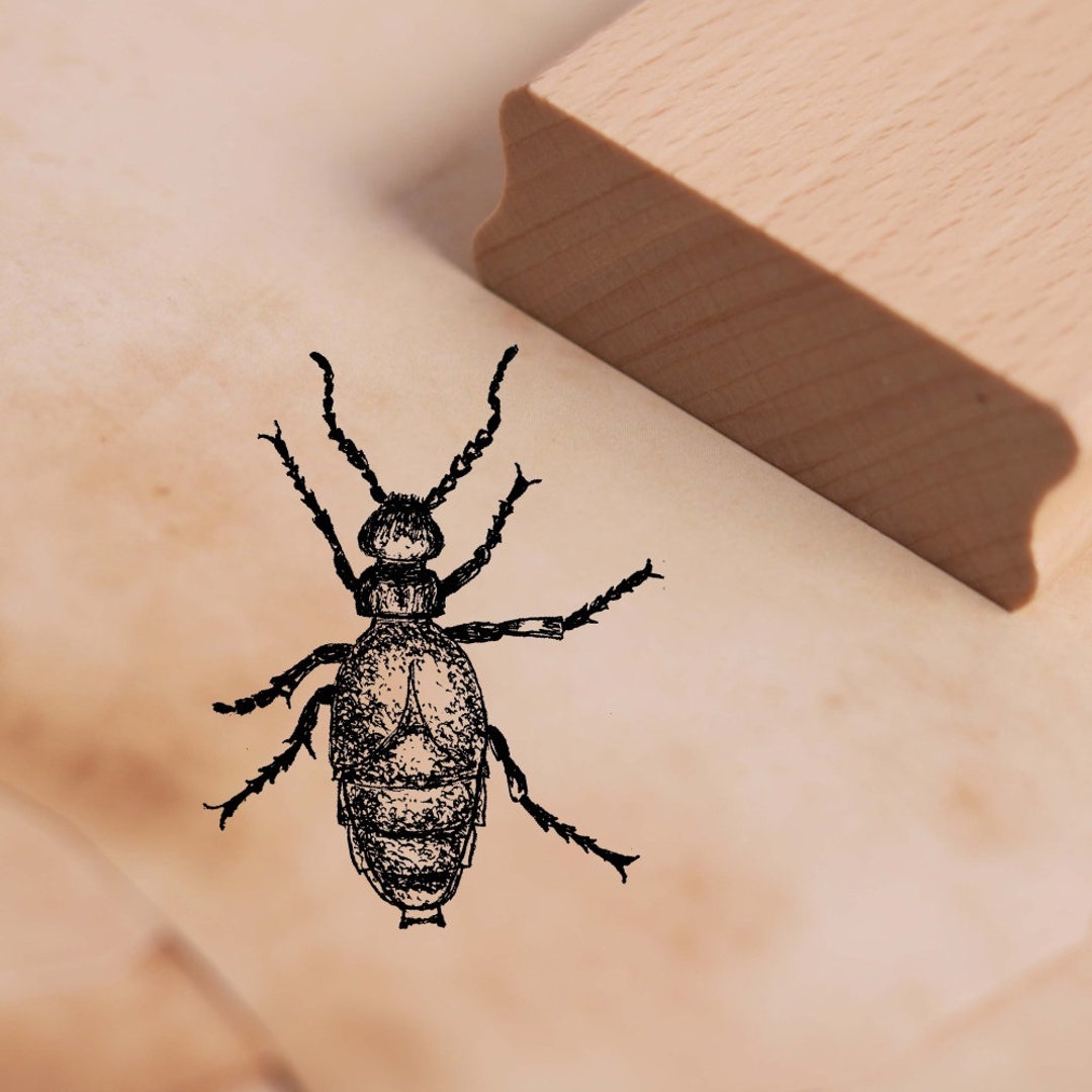 Oil Beetle Motif Stamp - Beetle Stamp Wooden Stamp 38 X 48 Mm ...