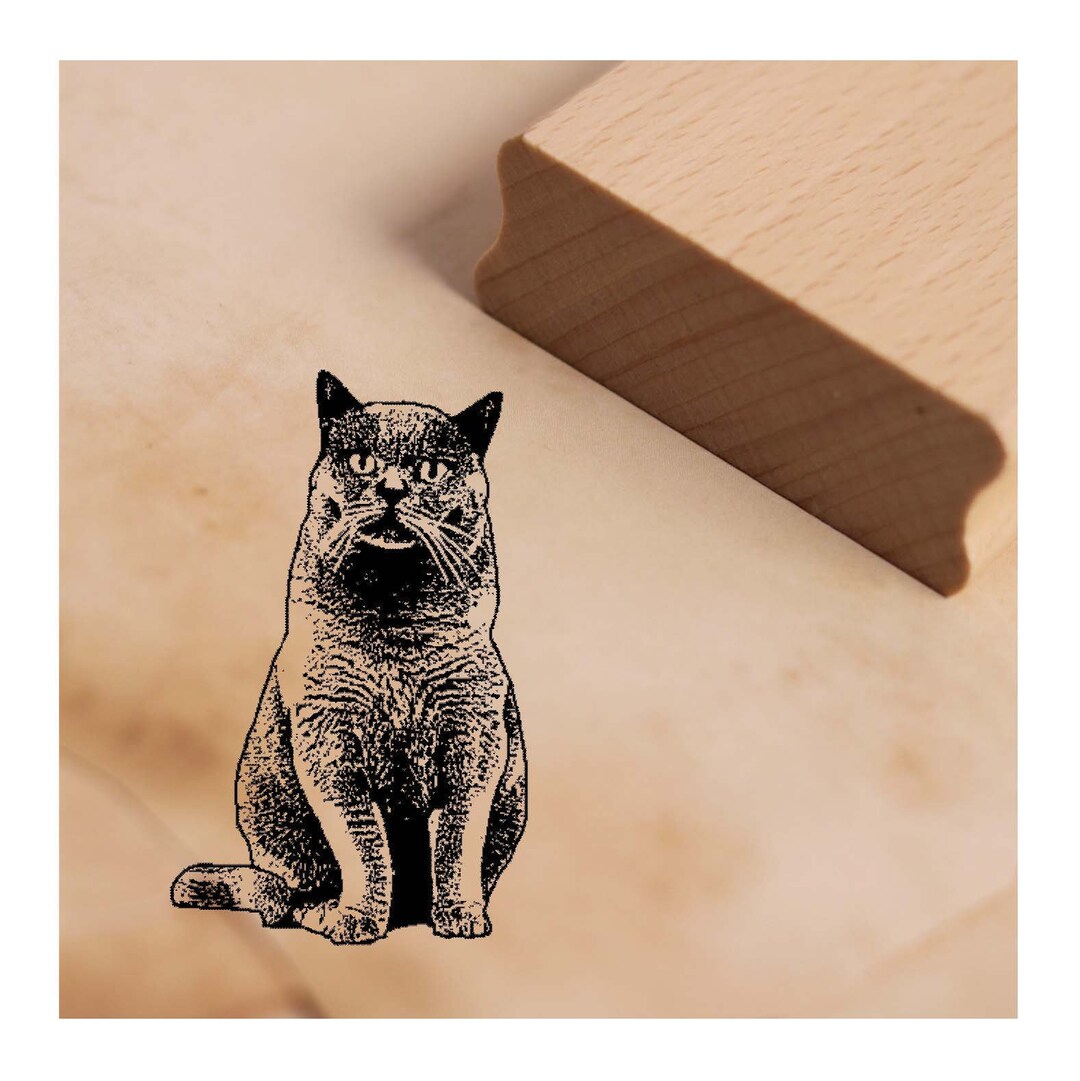 Stamp British Shorthair Cat Motif Stamp Approx. 38 X 38 Mm Scrapbooking ...