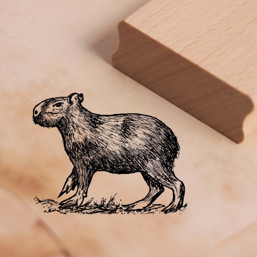 Motif Stamp Capybara Water Pig Stamp 48 X 38 Mm Wooden Stamp Animal ...
