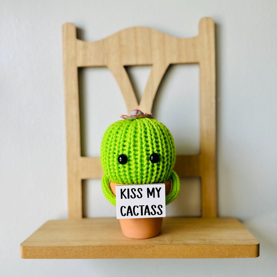 Cactus Buddy, Flowering Cactus, Pink Flower, Green Cactus, Cactus Plant ...