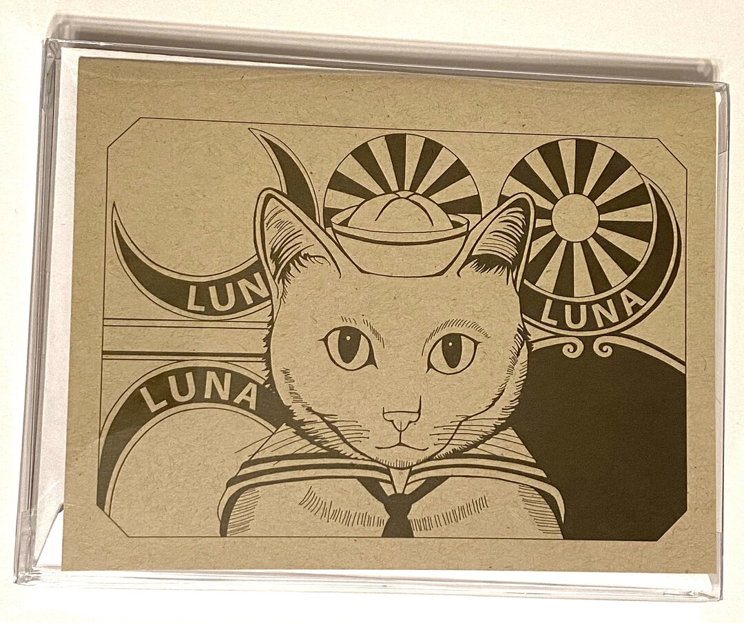 Harold the Cat at Coney Island, Pack of 5 Notecards - Etsy