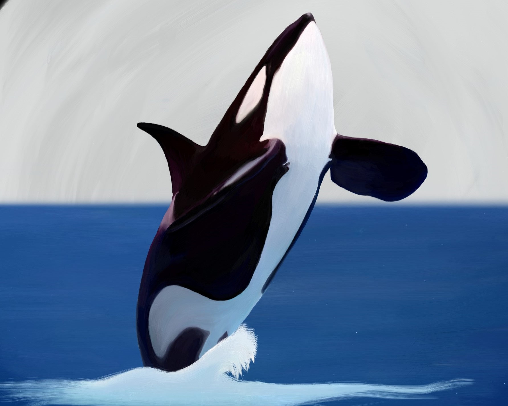 Orca Oil Painting Print - Orca in the Moonlight - Etsy