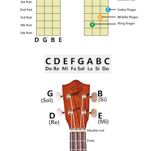Baritone Ukulele Chords Chart: Easy Beginner PDF (A4 Printable) - Etsy