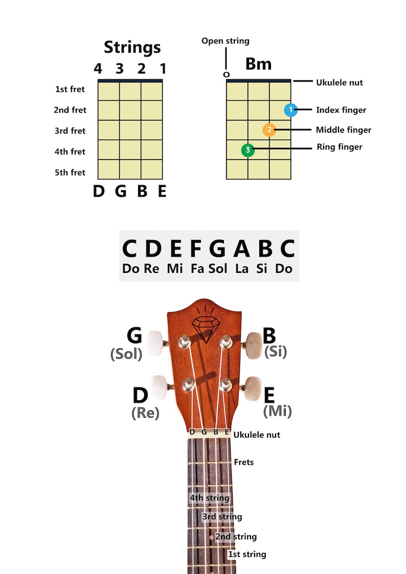 Baritone Ukulele Chords Chart: Easy Beginner PDF (A4 Printable) - Etsy