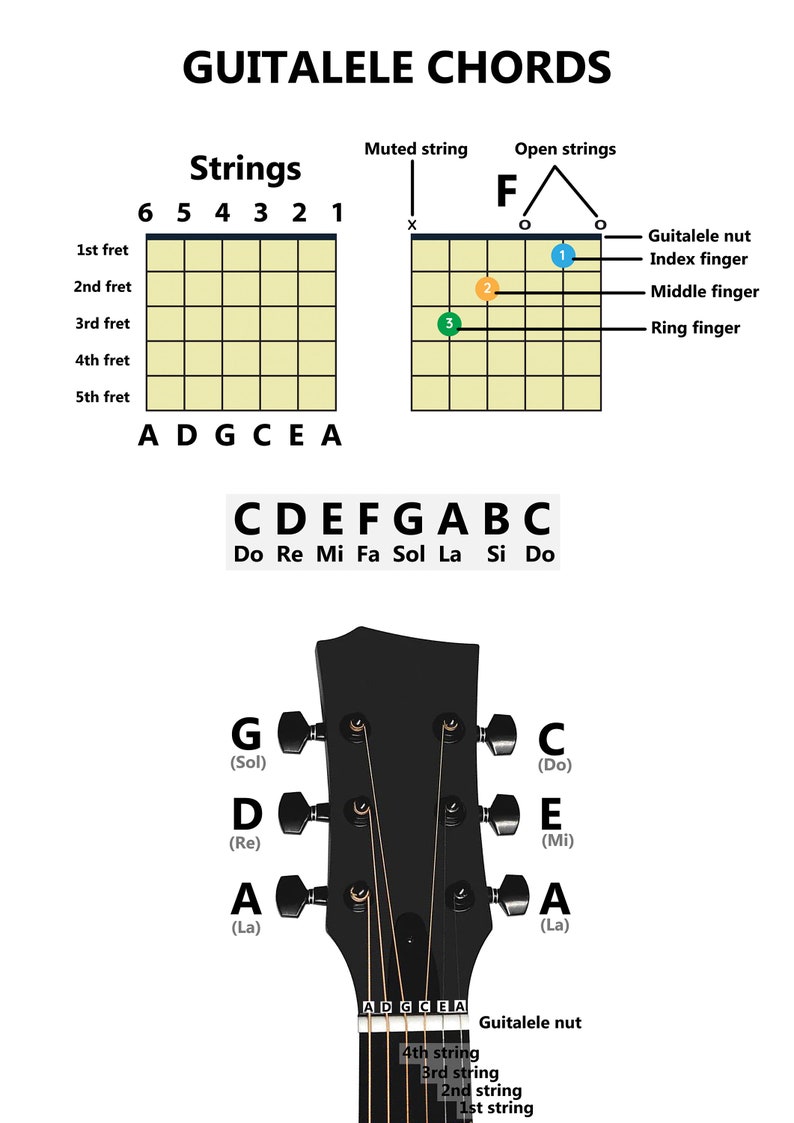 Easy Guitalele Chords Chart: Beginner Printable (A4 PDF Download) - Etsy