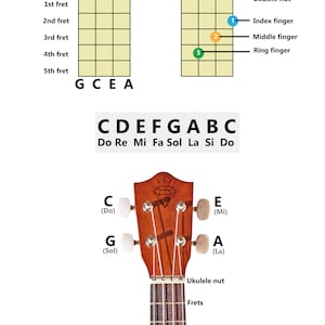 Ukulele Chords Chart for Beginners: Easy Reference (digital Download ...