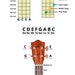 Ukulele Chords Chart for Beginners: Easy Reference (digital Download ...
