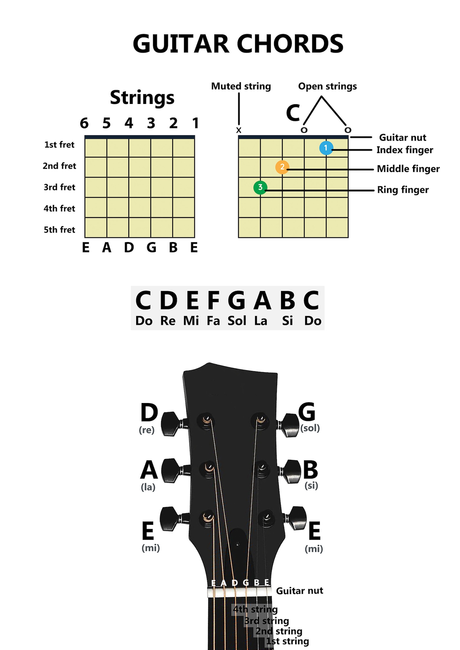 Easy Guitar Chords Chart for Beginners (PDF Download) - Etsy