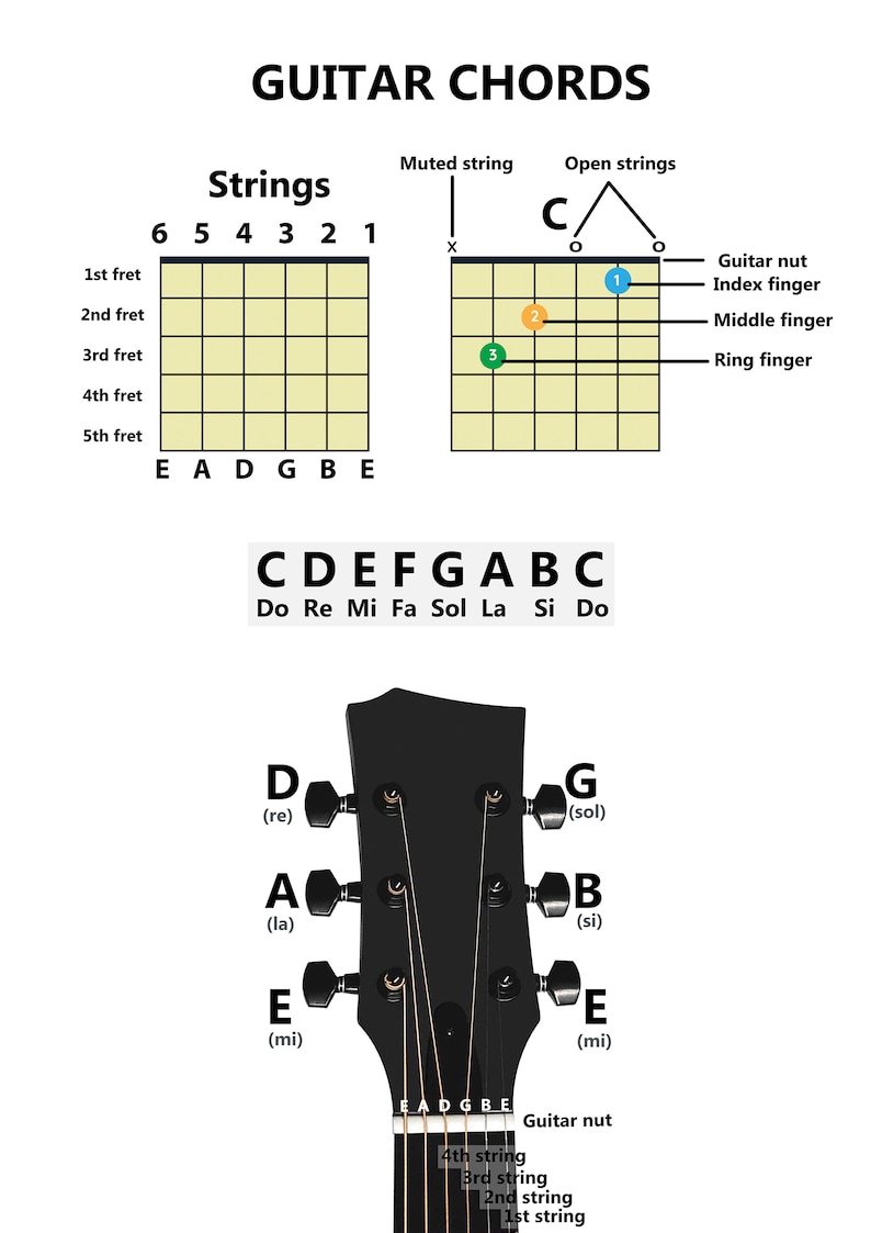 Easy Guitar Chords Chart for Beginners (PDF Download) - Etsy
