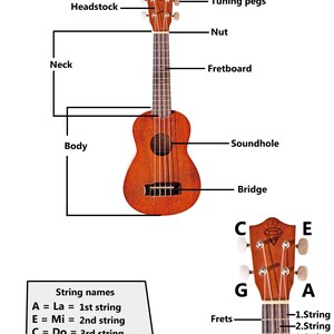 Ukulele Chords E-book: Beginner A4 Printable (digital Download) - Etsy