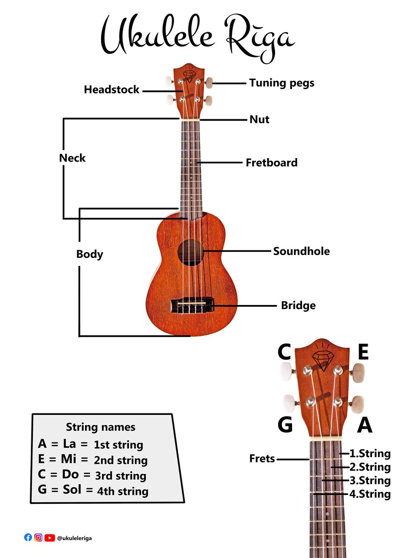 Ukulele Chords E-book: Beginner A4 Printable (digital Download) - Etsy